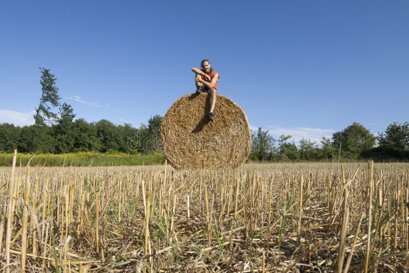 Bucolic summer field stock image. Image of bucolic, italy - 25856363