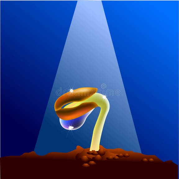 Cartoon Bud Stock Illustrations – 17,071 Cartoon Bud Stock ...