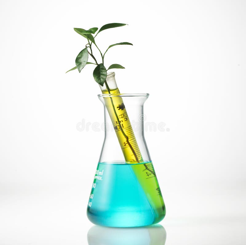 5,728 Plant Tree Tube Stock Photos - Free & Royalty-Free Stock Photos ...