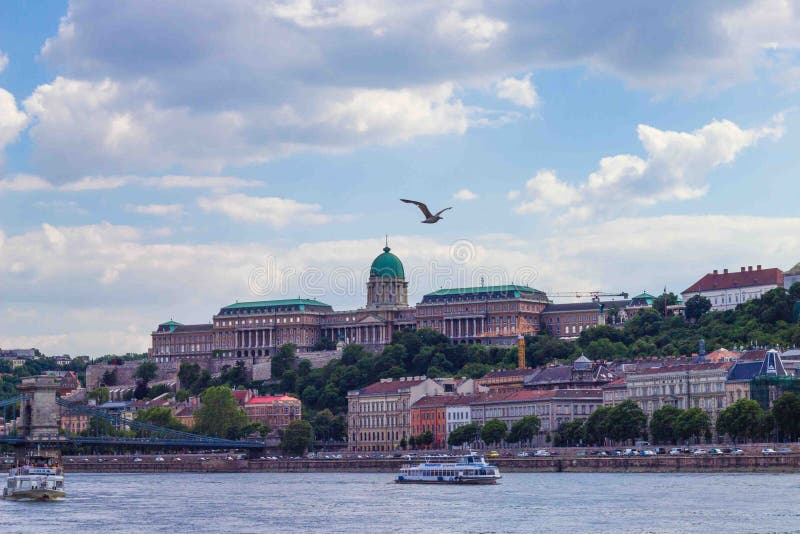 Buda Castle stock image. Image of river, bank, buda, bird - 93489037