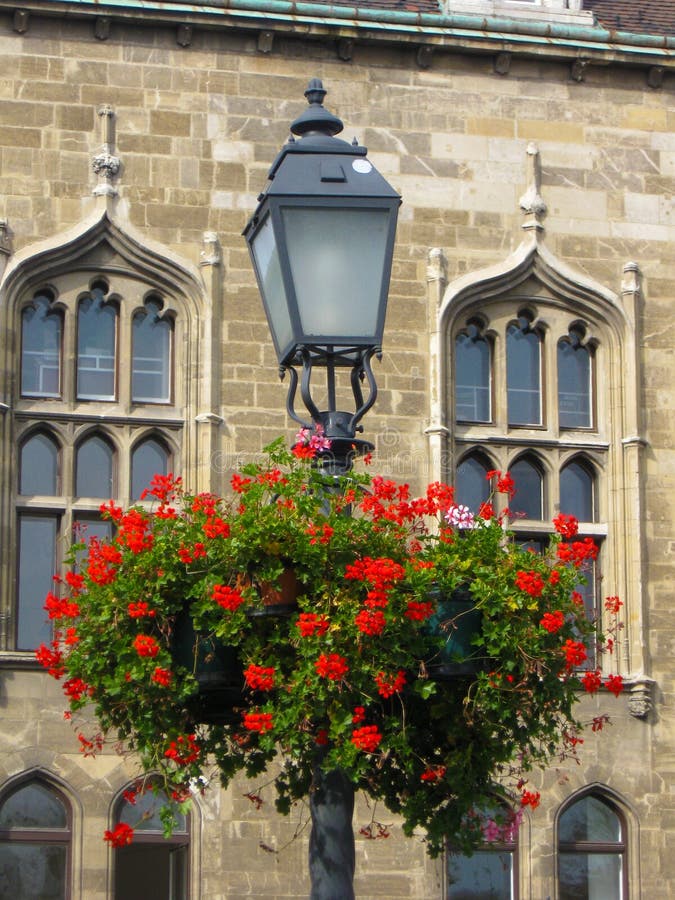 Budapest stock photo. Image of flower, plants, flowers - 16727424