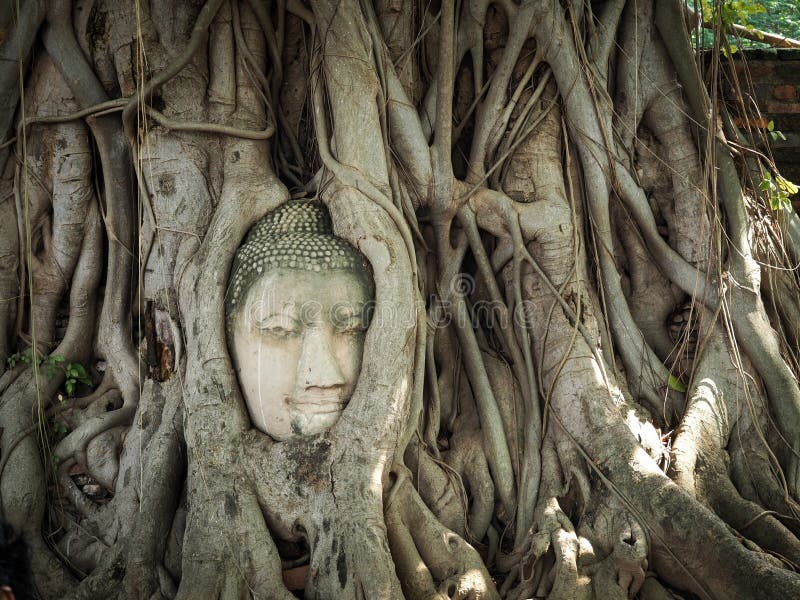 Buddha stock photo. Image of mahathat, worship, sculpture - 80356586