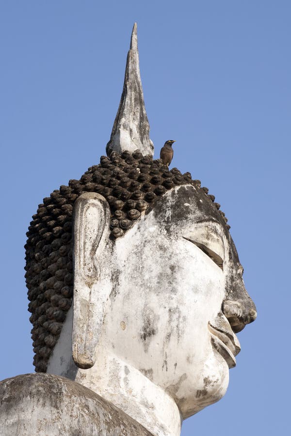 Buddha and the Bird stock photo. Image of ornate, siam - 23978234