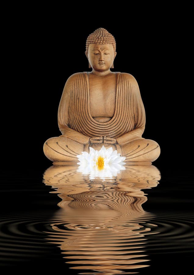 Contemplation stock image. Image of lighting, grass, divine - 15755869