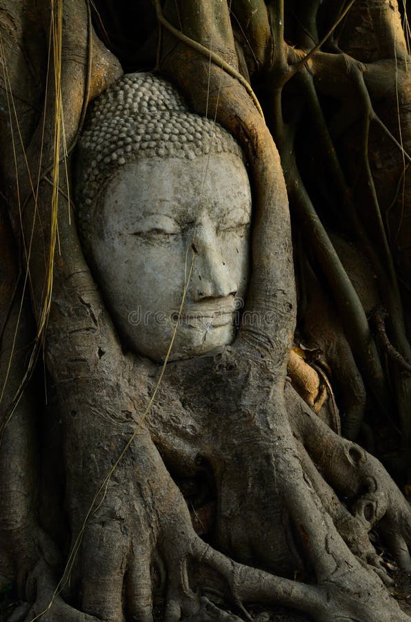 Buddha Face stock image. Image of ayuttaya, thailand - 27133575