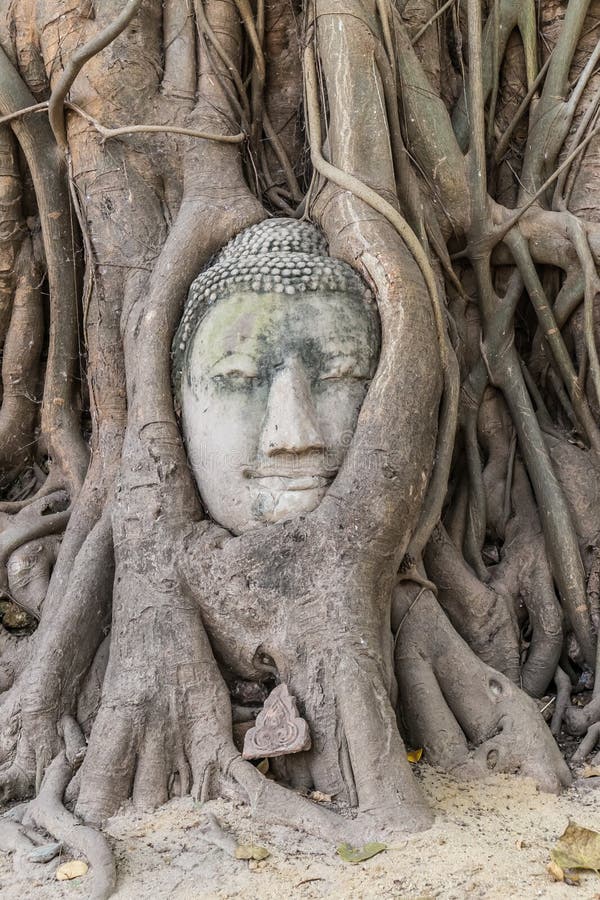 Buddha face stock image. Image of culture, orient, asia - 29186731