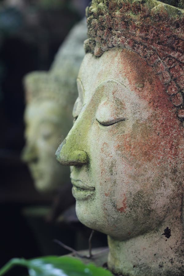 Buddha face side stock image. Image of faith, head, sculpture - 35618093
