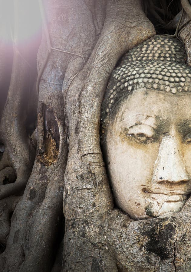 Buddha face statue stock image. Image of buddha, temple - 76475289