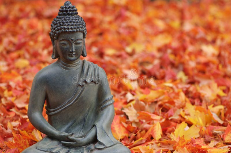 499 Autumn Buddha Statue Leaves Stock Photos - Free & Royalty-Free ...