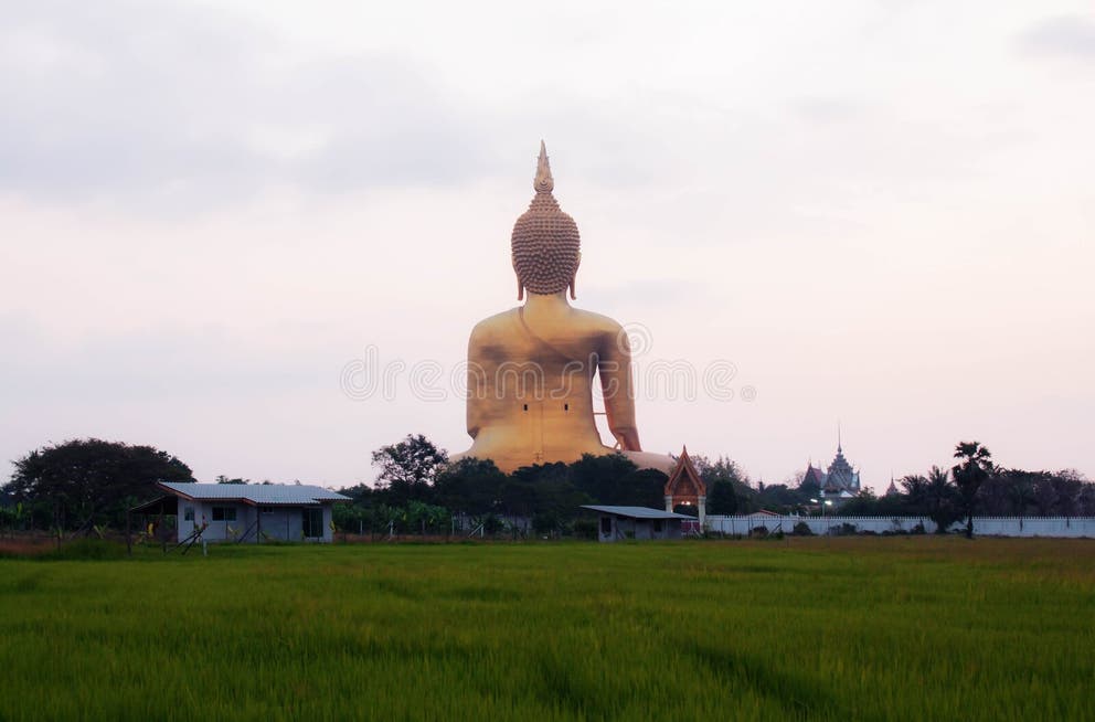 Buddha on field stock image. Image of asia, buddha, country - 134649701