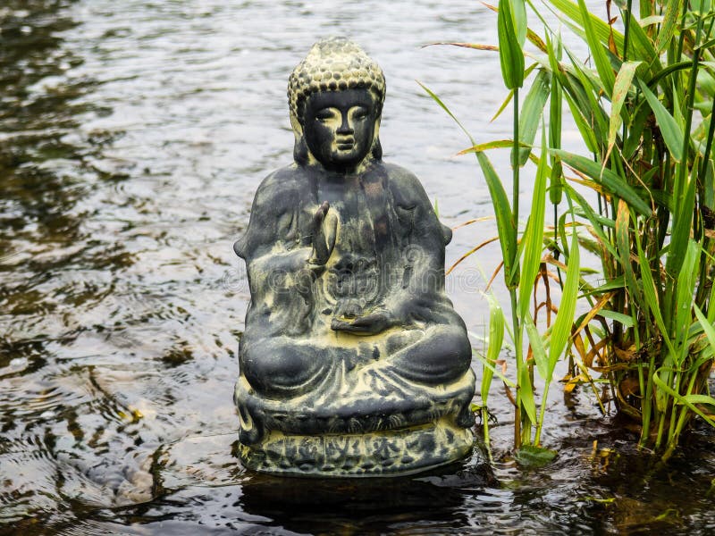 Buddha figure in a river stock image. Image of buddha - 264139813