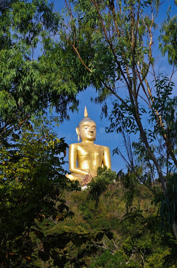 Buddha in forest stock photo. Image of meditation, oriental - 82807170