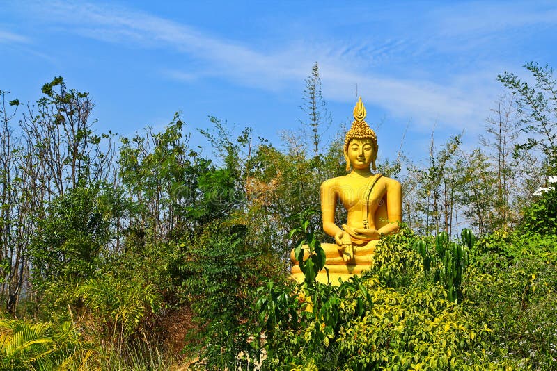 Buddha in the forest stock photo. Image of bangkok, demon - 33068722