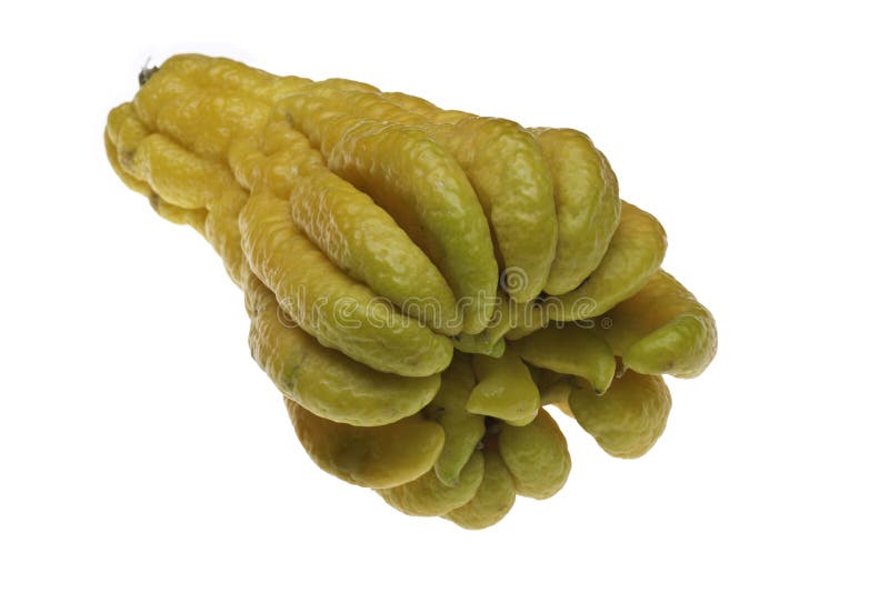 Buddha Hand Fingers stock image. Image of hand, finger - 22710931