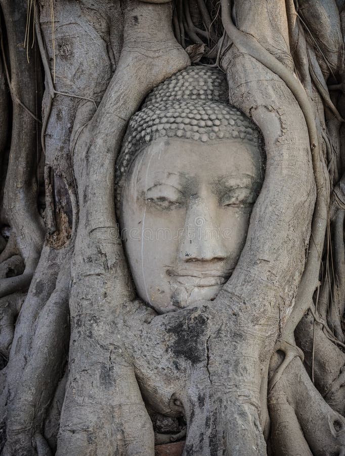 Buddha head stock image. Image of ancient, religion, buddhism - 69444423