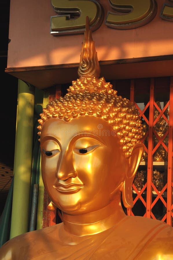 Man Fore Cast Stock Photos - Free & Royalty-Free Stock Photos from ...