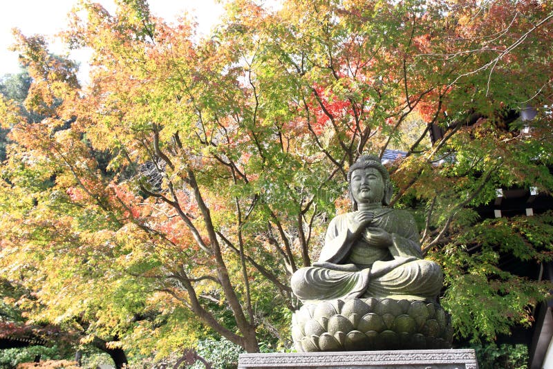 Buddha Image and Autumn Leaves in Hasedera Stock Photo - Image of ...
