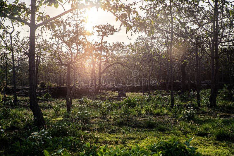 Buddha Image. Backlit Image. Buddha Image. Backlit Image. Stock Photo ...