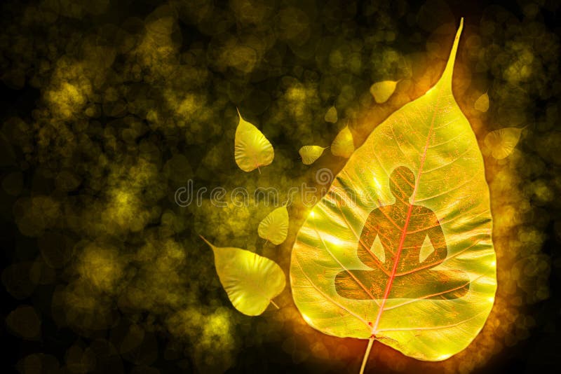 The buddha on leaf. stock illustration. Illustration of religion - 30764739