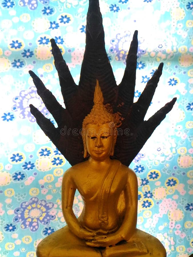 BuddhaÂ stock photo. Image of buddhais, 2500, origin - 97519586