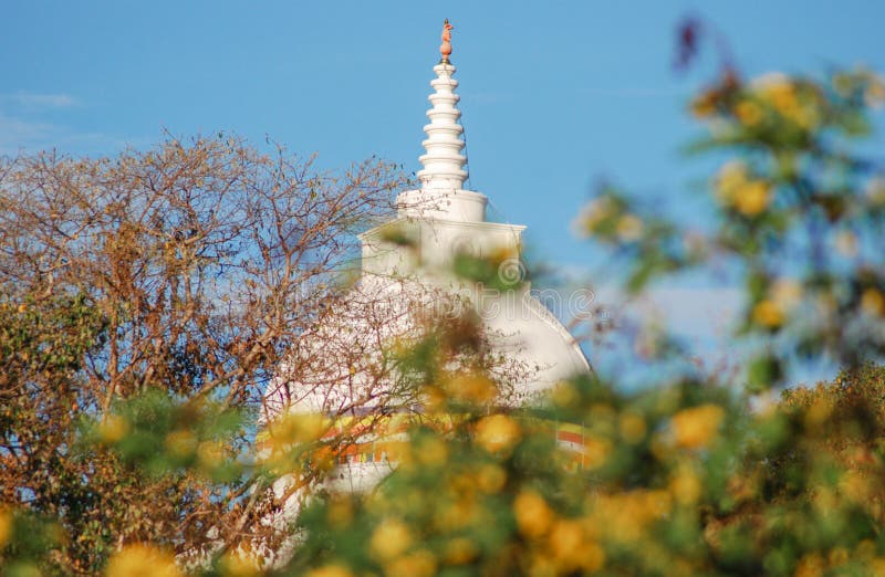 Deegavapi Parivara Stock Photos - Free & Royalty-Free Stock Photos from ...