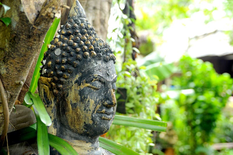 Buddha in nature stock image. Image of serenity, religion - 21632159