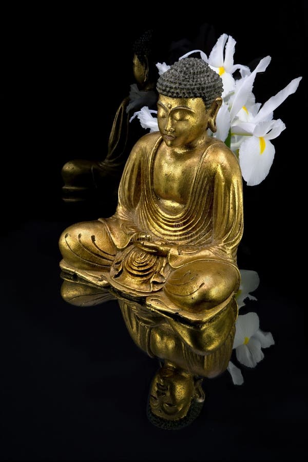 Buddha reflektera arkivfoto. Bild av mörkt, glädje, iris - 8468260