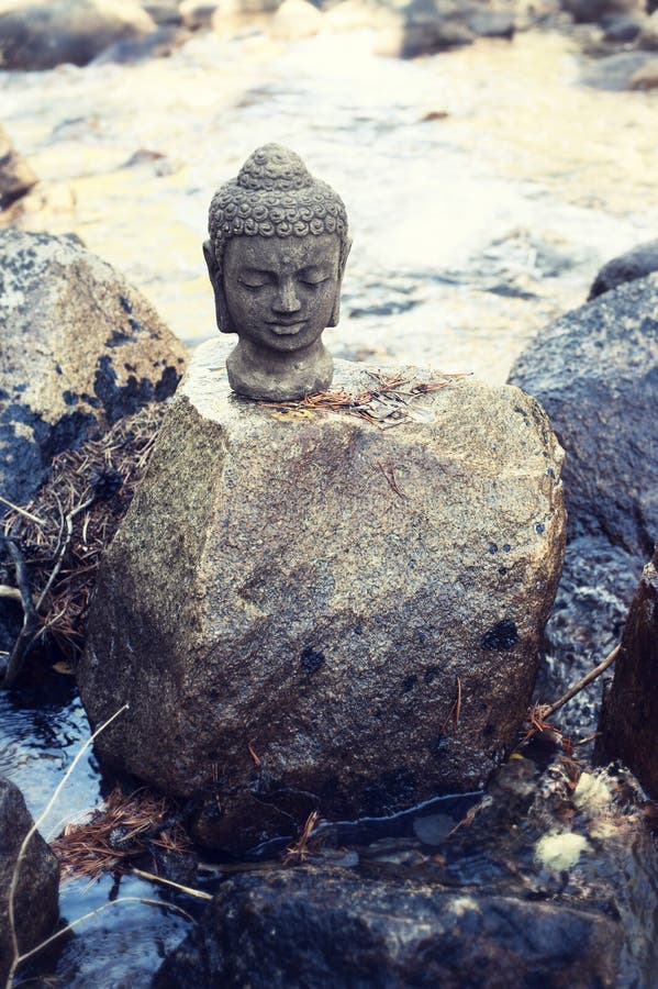 Buddha River Zen Meditation Stock Image - Image of serene, clarity ...