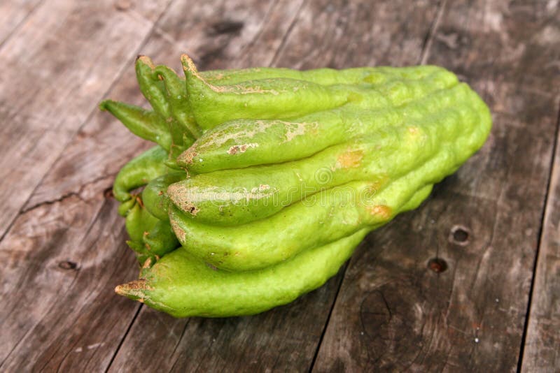 Buddha s hand stock image. Image of green, rare, interesting - 16744549