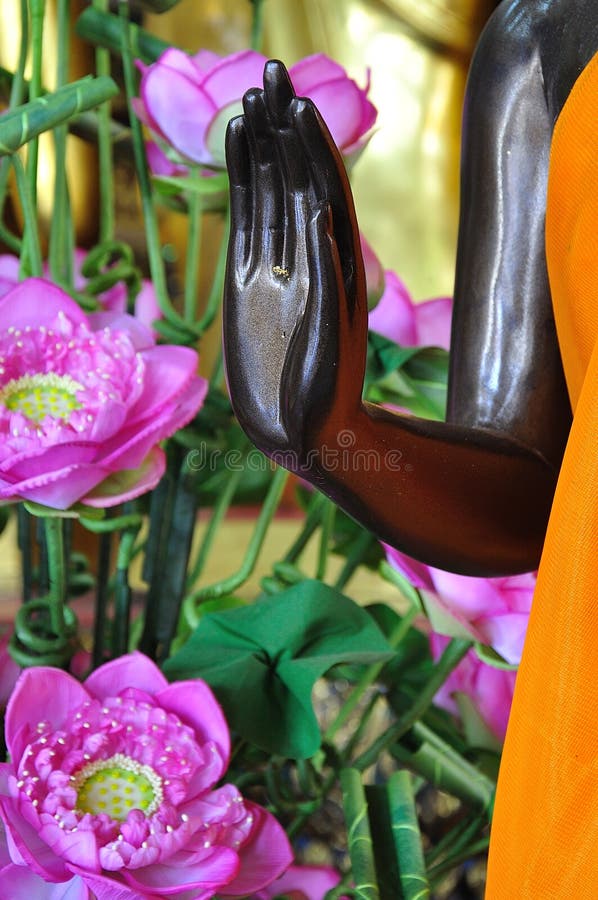 Buddha s hand and Lotus stock photo. Image of circle - 15631572