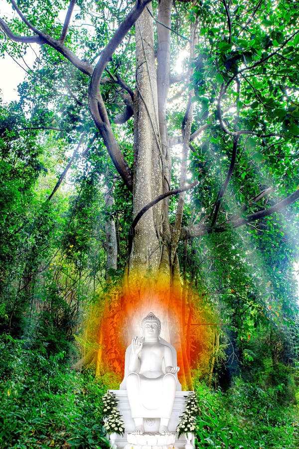 .the Buddha Sat Under the Tree Stock Photo - Image of india, buddah ...
