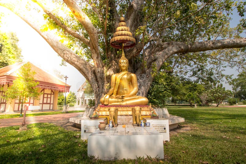 Buddha Sitting Under The Tree Picture. Image: 114686200