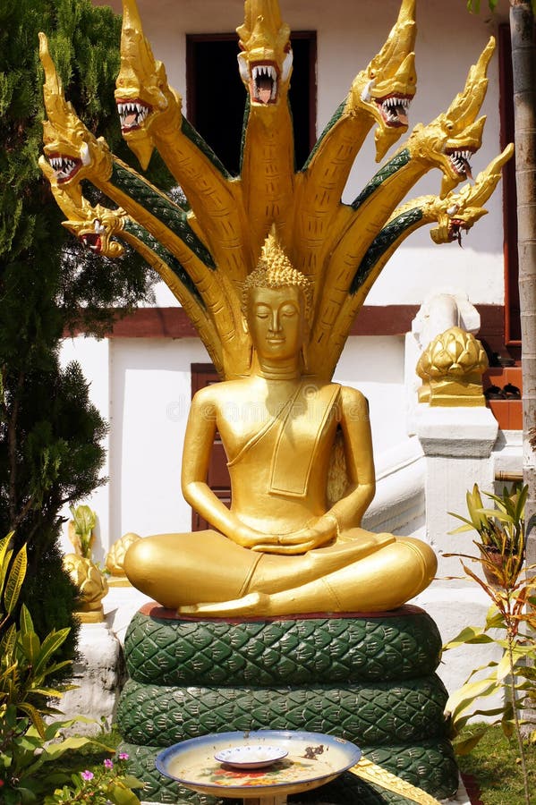 Buddha with snakes stock photo. Image of temple, buddhism - 94802796
