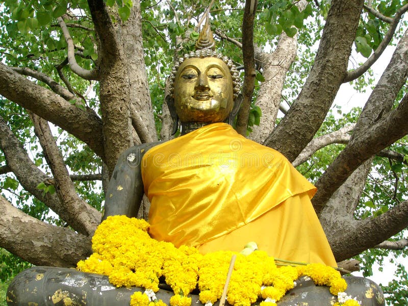 Buddha Making OK Sign stock image. Image of alright, good - 587935