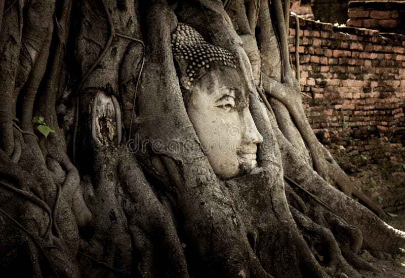 Buddha statue amazing stock image. Image of temple, symbol - 132729447
