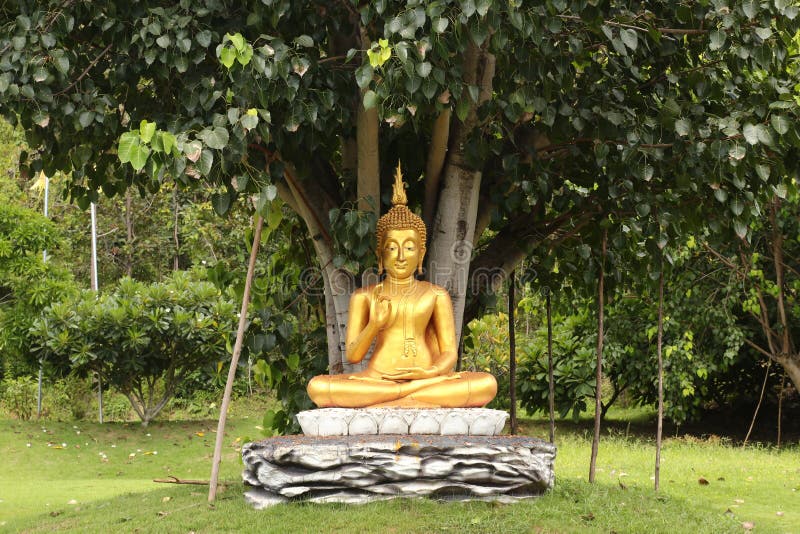Buddha Statue Bo Tree Stock Photos - Free & Royalty-Free Stock Photos ...