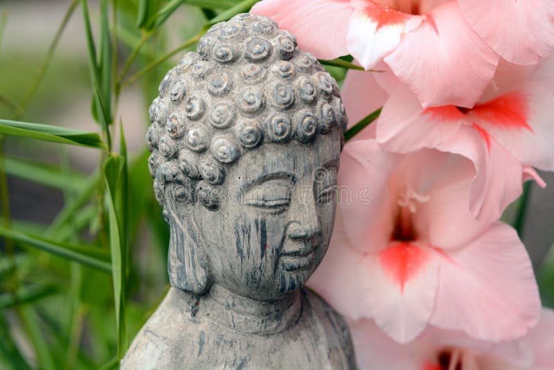 Buddha Statue in a Flower Garden with Pink Flower Stock Photo - Image ...