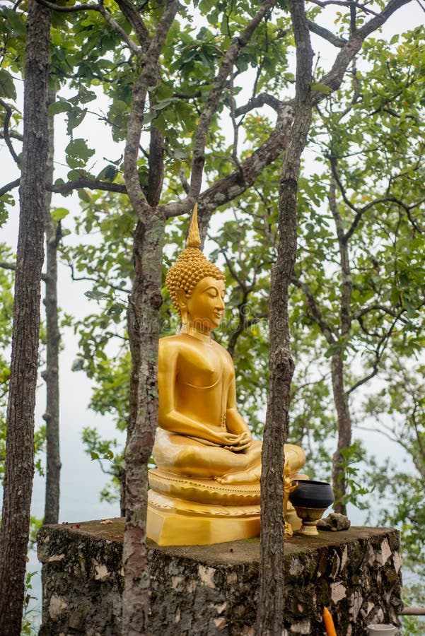 Buddha statue the forest stock photo. Image of seated - 156622324