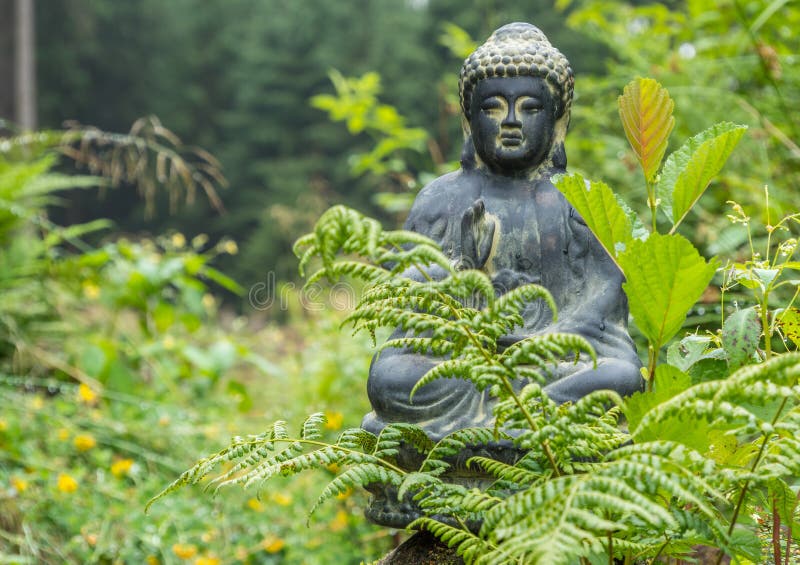 Buddha Statue in the Forest Stock Photo - Image of peace, fern: 194420970