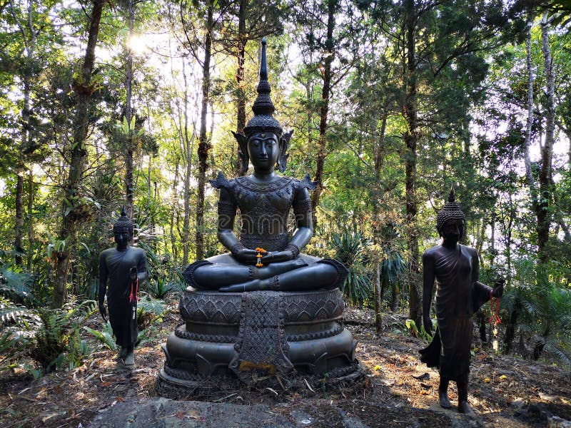 The Buddha Statue in the Forest Stock Photo - Image of buddhism ...