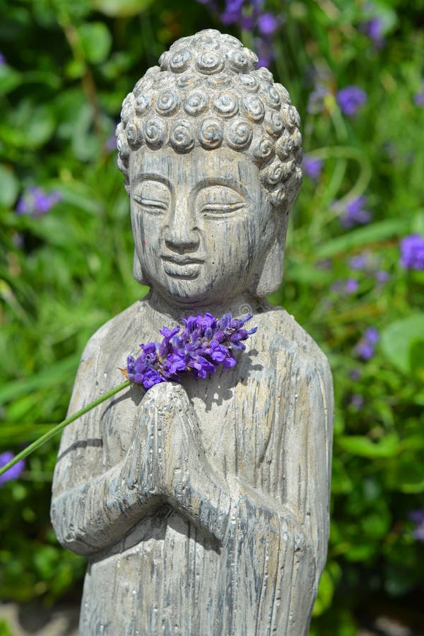 Buddha Statue in a Lavender Garden Stock Image - Image of peace, formal ...