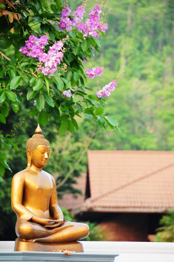 Buddha Statue in the Nature Stock Image - Image of calm, elegant: 23237377