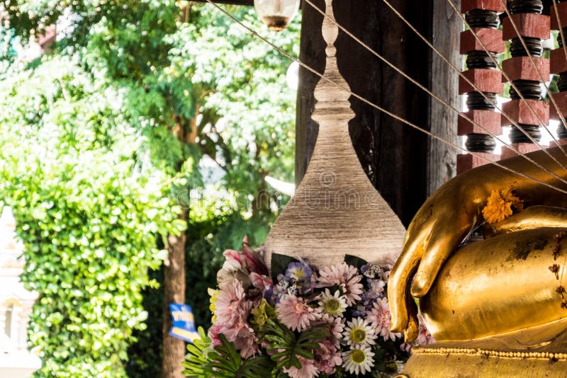 Buddha Statue`s Hand with Flower and Tree Stock Photo - Image of golden ...