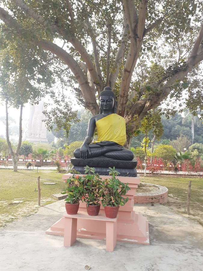 Buddha Statue in Sarnath Under a Tree Stock Photo - Image of buddha ...