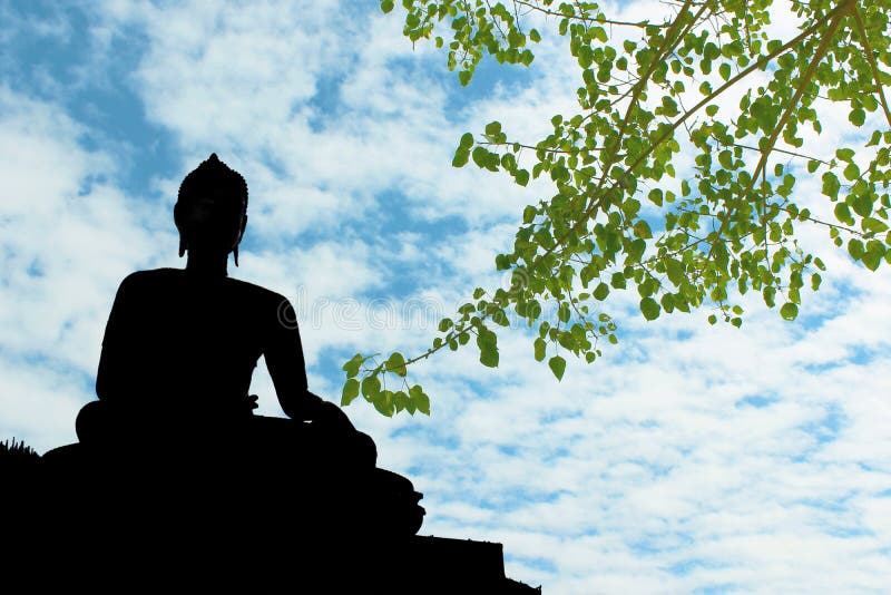 Buddha Statue Tree Stock Illustrations – 878 Buddha Statue Tree Stock ...