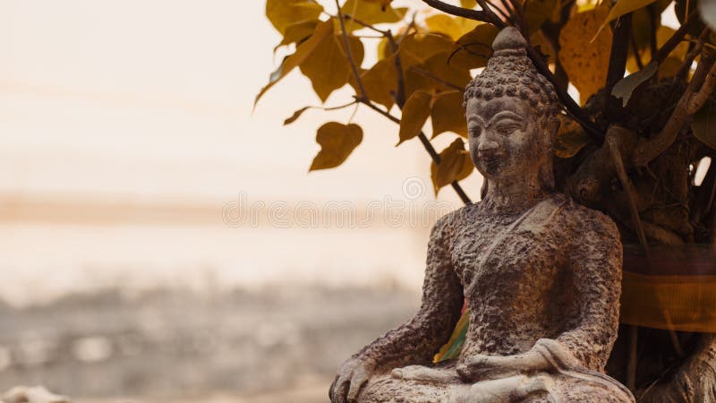 Buddha Statue Sit Under Bodhi Tree on Natural Light Stock Photo - Image ...
