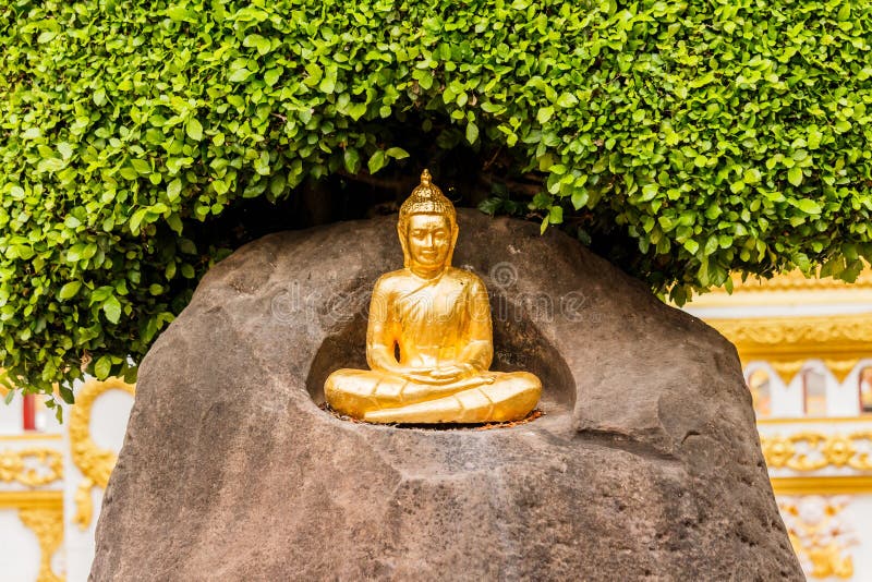 Buddha Statue Sitting Under Bodhi Tree. Stock Image - Image of thai ...