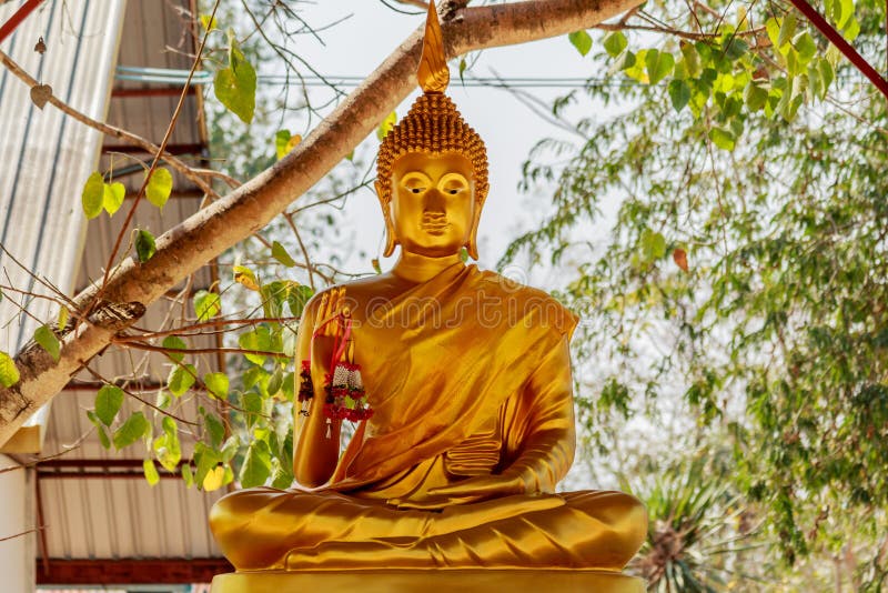 Buddha Statue Sitting Under Bodhi Tree . Stock Photo - Image of ...