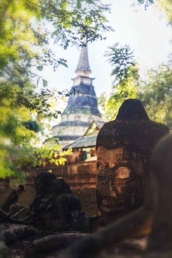 Buddha Statue in Thailand Temple Wat Umong Stock Photo - Image of ...