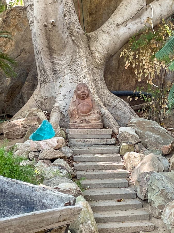 Buddha Statue at the Top of Some Stone Stairs Under a Tree Stock Image ...